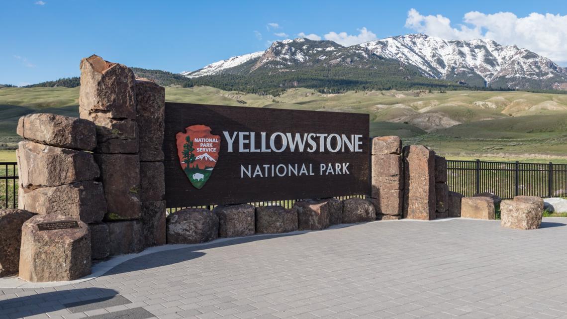 Two hikers attacked by bear near Old Faithful at Yellowstone; area ...
