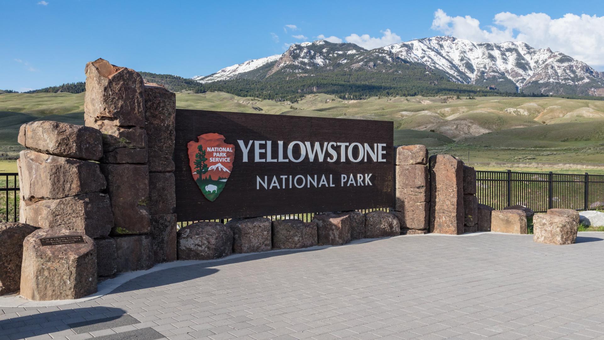 15-year-old, 28-year-old attacked by mother grizzly with cubs in ...