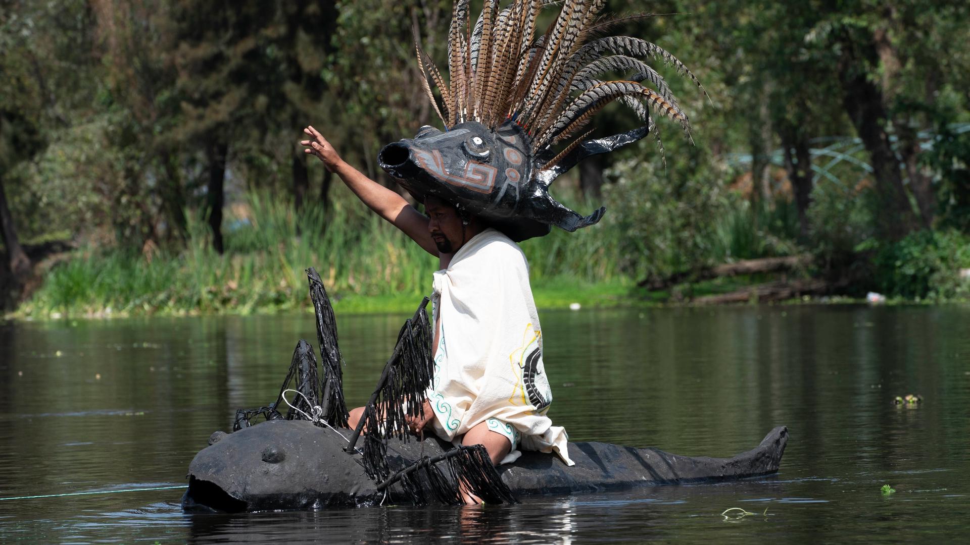 Meet axolotl: This 'peculiar species' has become Mexico's most beloved ...