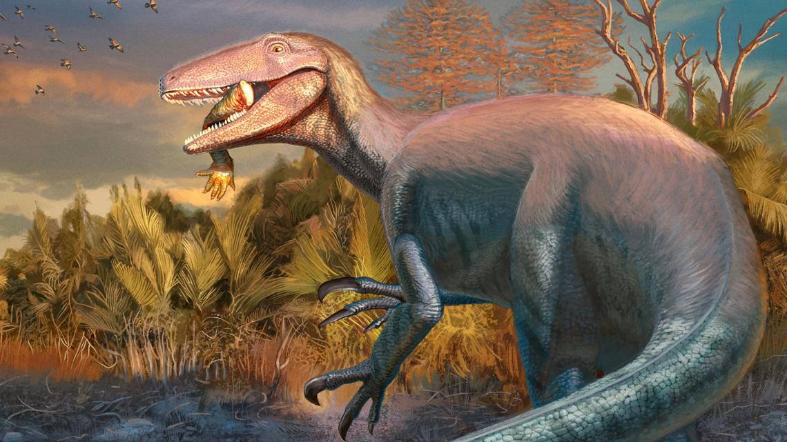 New dinosaur discovery reveals fierce megaraptoran predator | 10tv.com