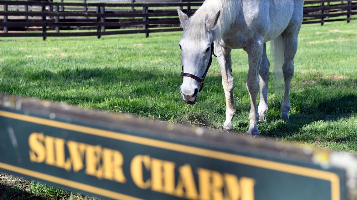 Oldest Derby-winning horse Silver Charm thriving in retirement | wthr.com
