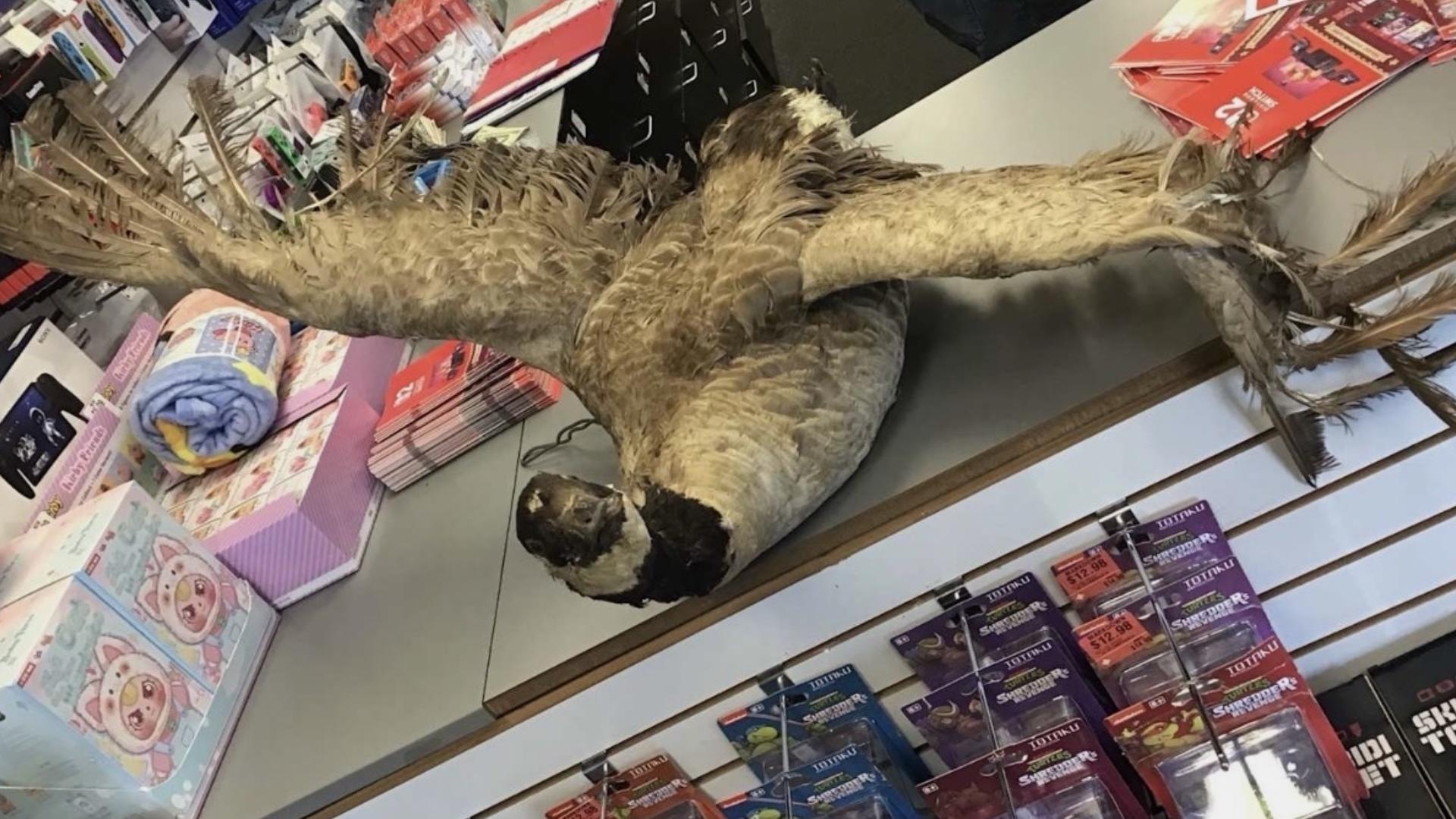 GameStop got over 80,000 items during 'Trade Anything Day.' Here are ...