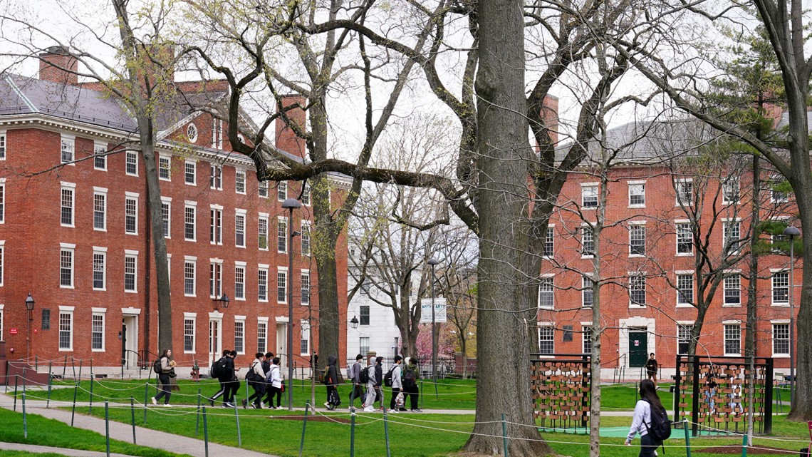 Harvard condemns student, faculty groups for antisemitic post | fox43.com