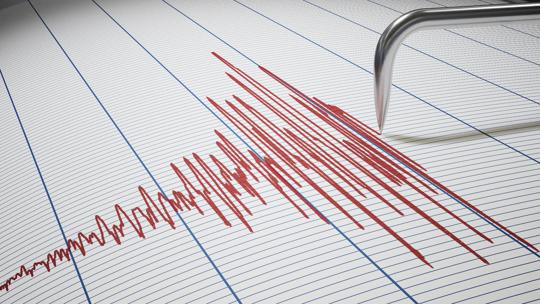 Big Island of Hawaii shook by minor earthquake, no risk of tsunami ...