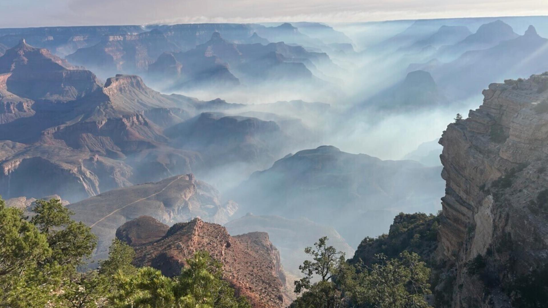 Breana Albizu bio | 10tv.com