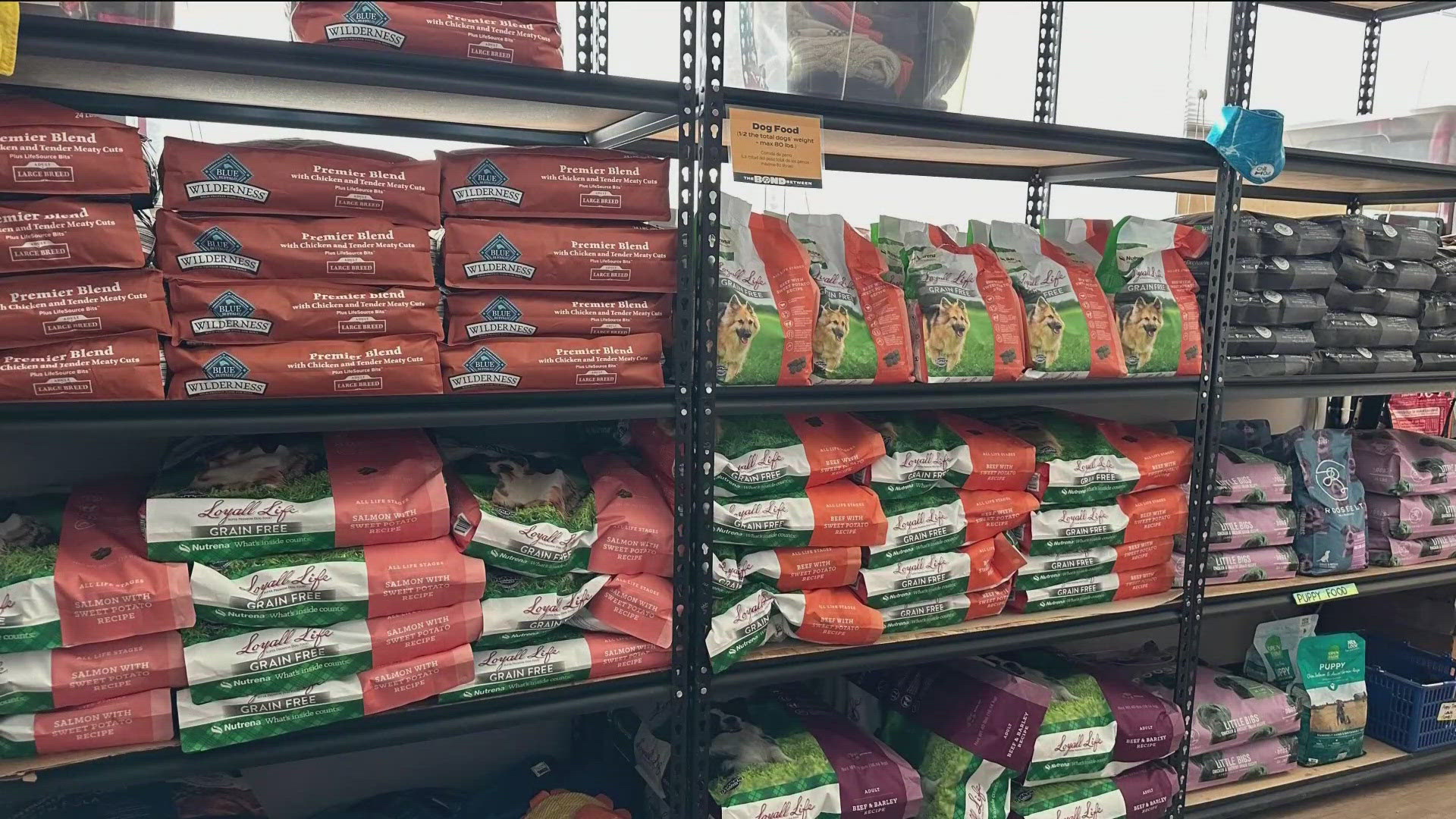 Demand for pet food increases amid ongoing SNAP benefits delay ...