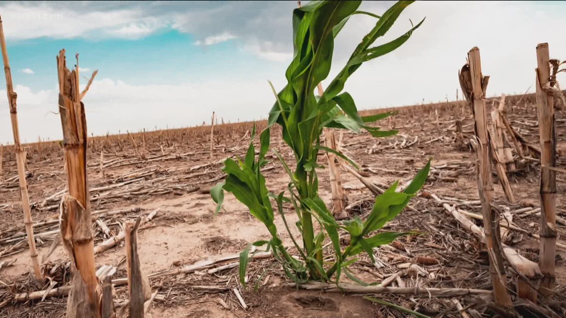 Extreme drought continues to expand in northeastern Iowa | weareiowa.com