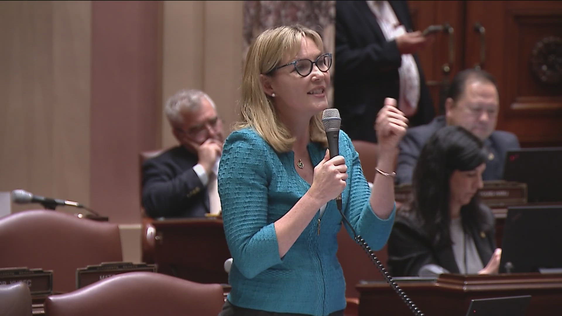 State Sen. Nicole Mitchell 'absolutely' denies theft allegations | wqad.com