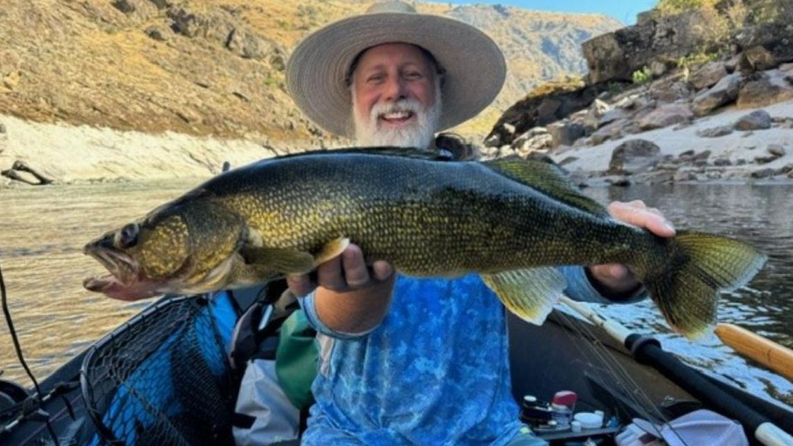 Minnesota angler's dream is a nightmare for Idaho's native species ...