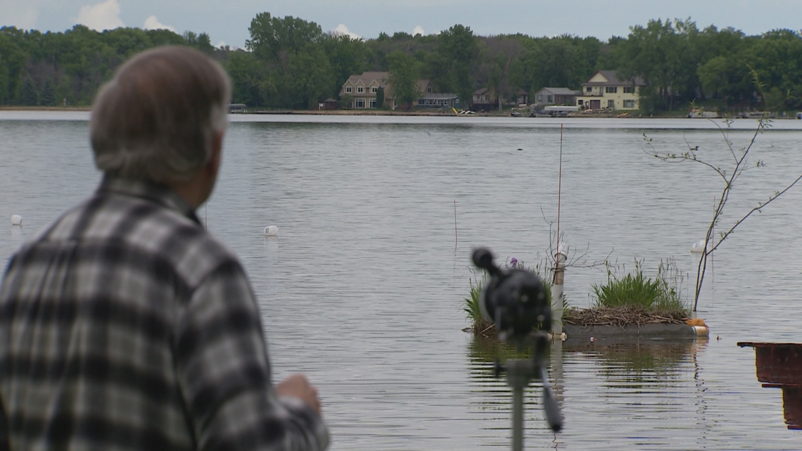 For two decades, loons have been coming to this nesting platform | wqad.com