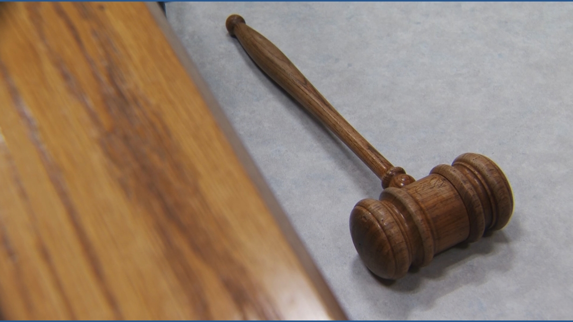 Former DMPD cadet pleads guilty to disorderly conduct after allegedly ...