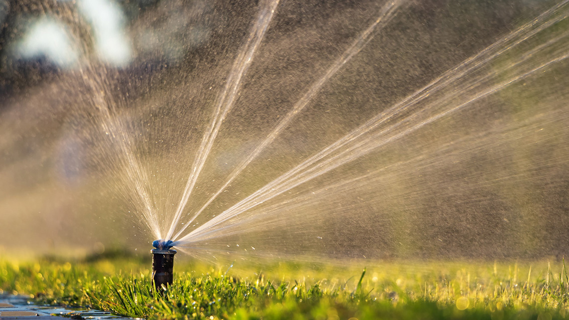 CIWW to ease water restrictions as nitrate levels drop, cancer survivor ...