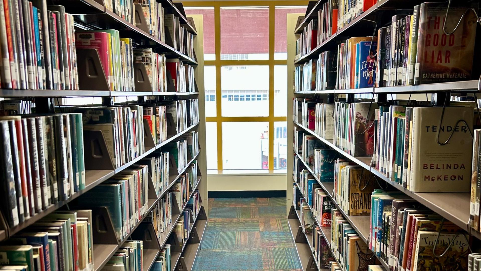 Iowa Legislature debates 'age appropriate' library bill, sparking ...
