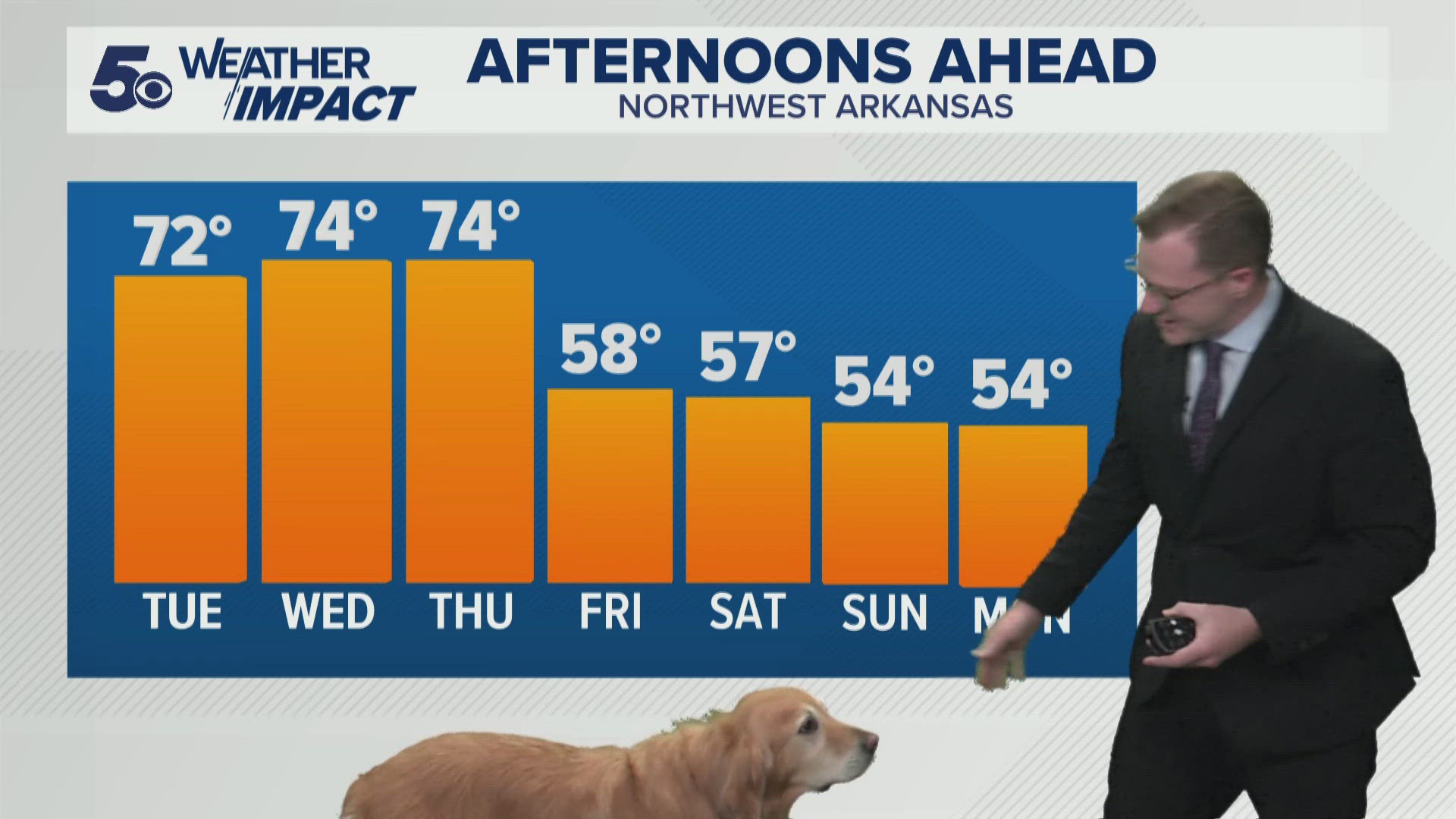 Cooper the Golden Retriever joins Skot Covert for the forecast ...