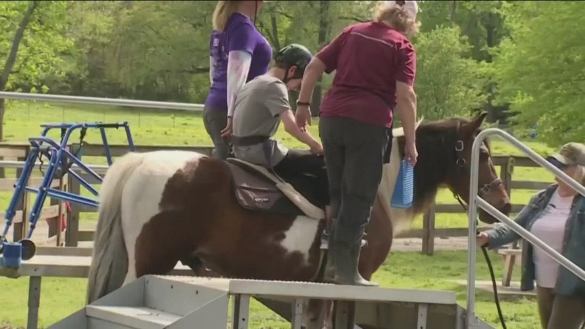 Horse therapy center getting help from Northwest Arkansas Naturals ...