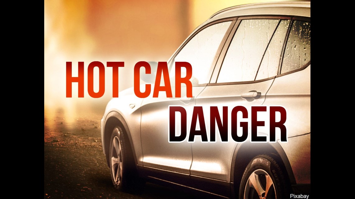 PETA Warning Pet Owners About Hot Car Dangers | 5newsonline.com