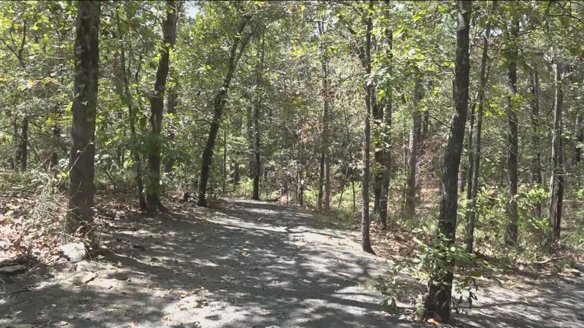 Family provides update on man's condition after rare bear attack in ...