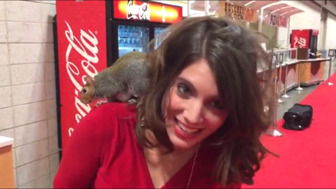 VIDEO: Squirrel Urinates On Nashville Reporter During Story ...