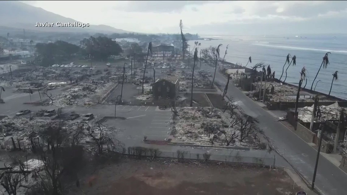Here's what Hawaii leaders are doing to prevent wildfires after Maui ...