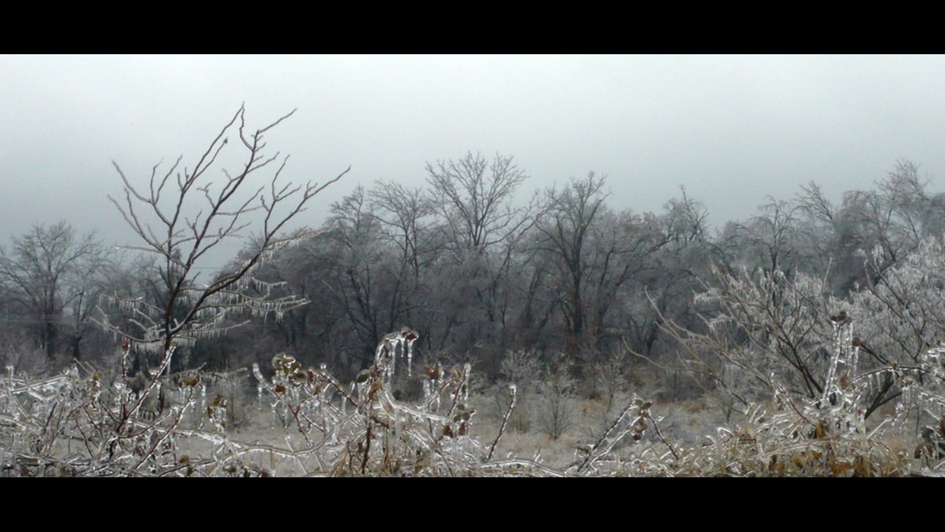 Garrett’s Live Winter Storm Updates | 5newsonline.com