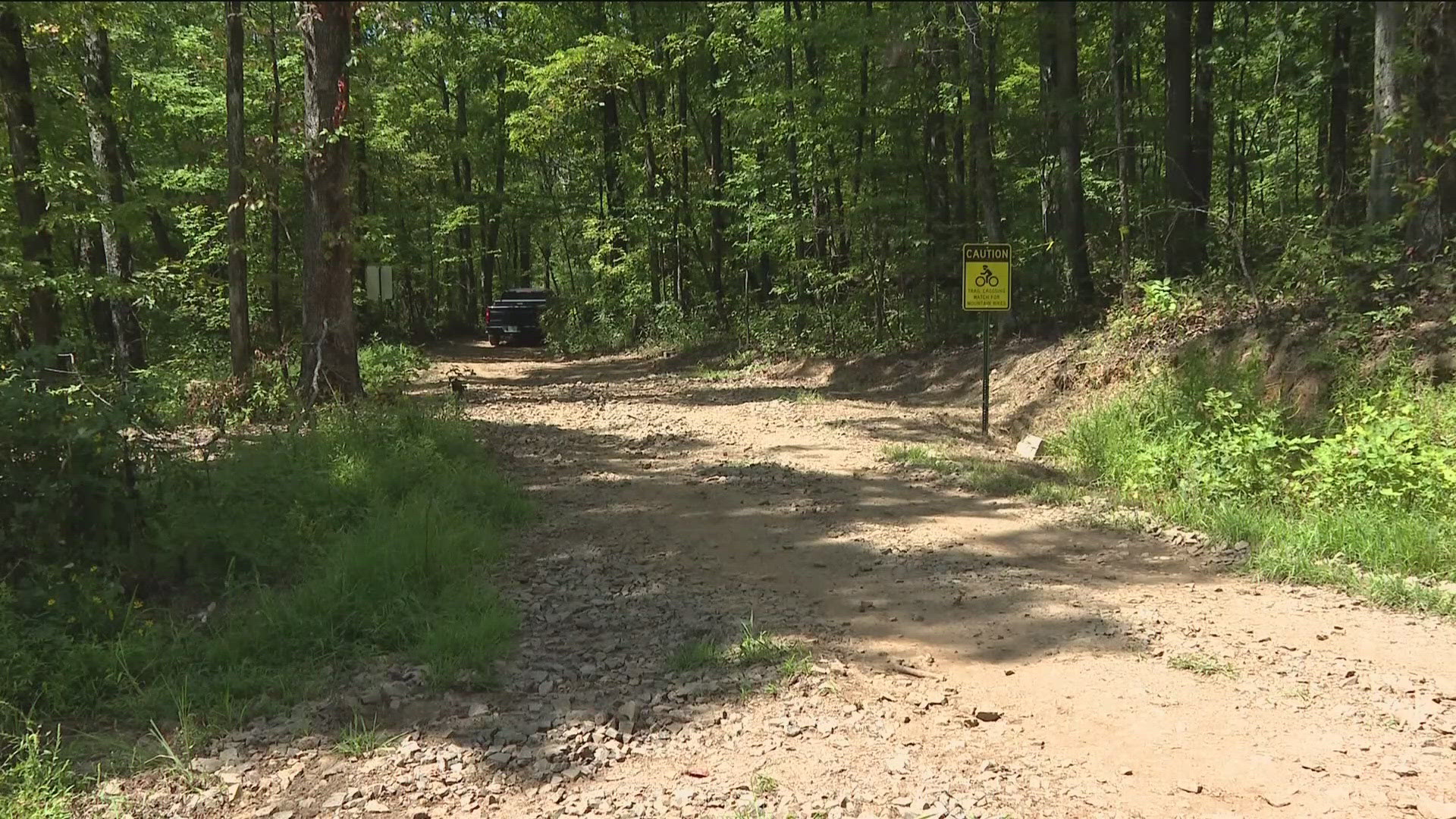 Arkansas man dies after rare black bear attack | 5newsonline.com