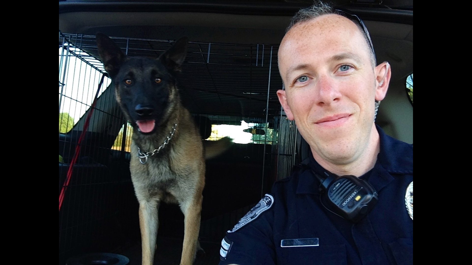 Siloam Springs Police Department K9 Fado Gets Ballistic Vest ...