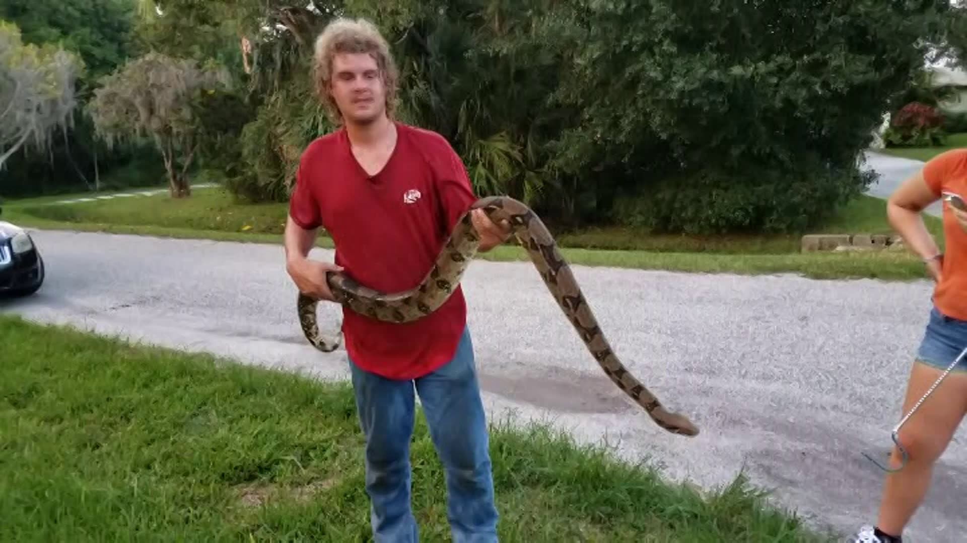 Man Finds Boa Constrictor In Attic After Years Of Strange Sounds He ...