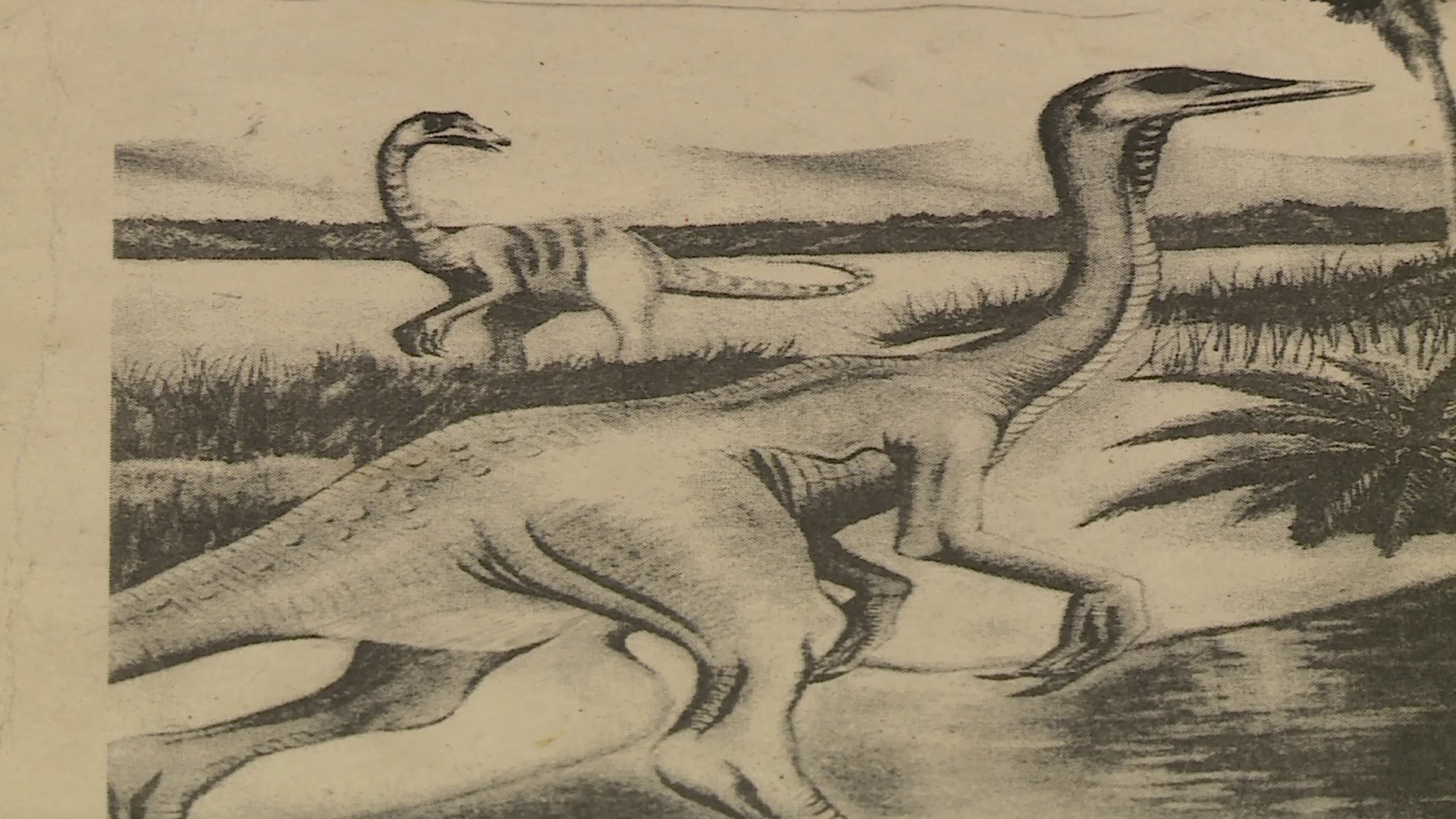 Arkansas legislature passes bill declaring Arkansaurus Fridayi the ...