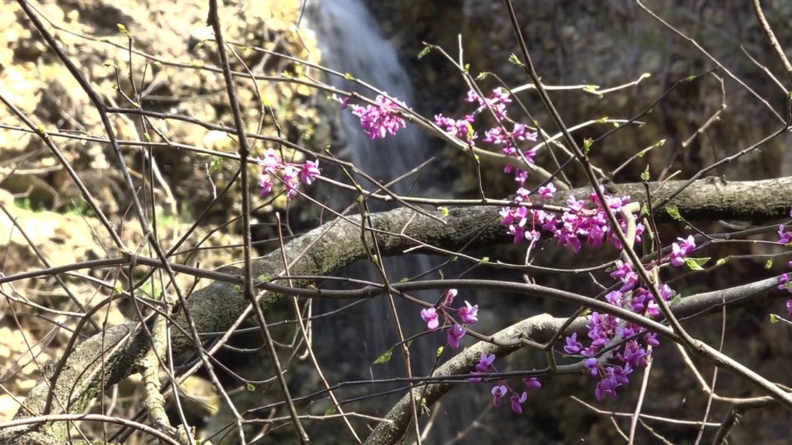 Dripping Springs Trail, Natural Falls State Park | 5newsonline.com