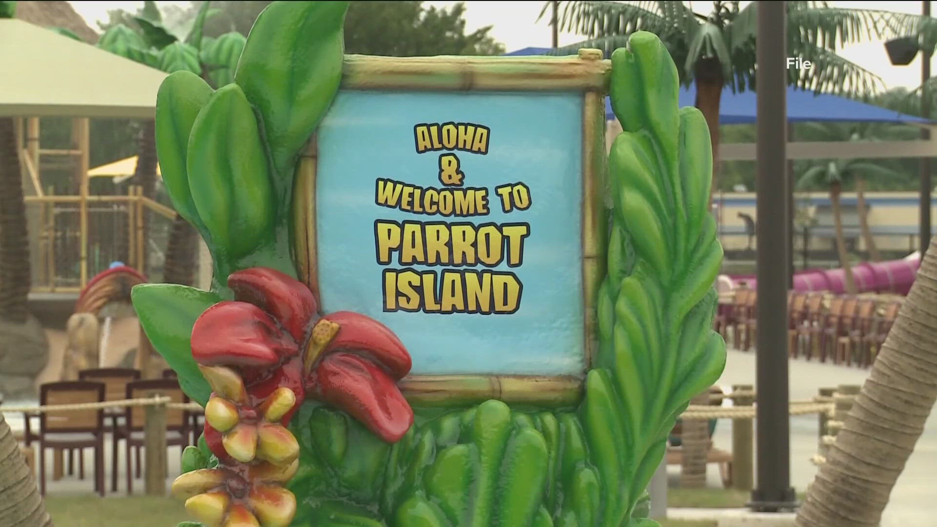 Parrot Island unveils plans for five new waterslides | 5newsonline.com