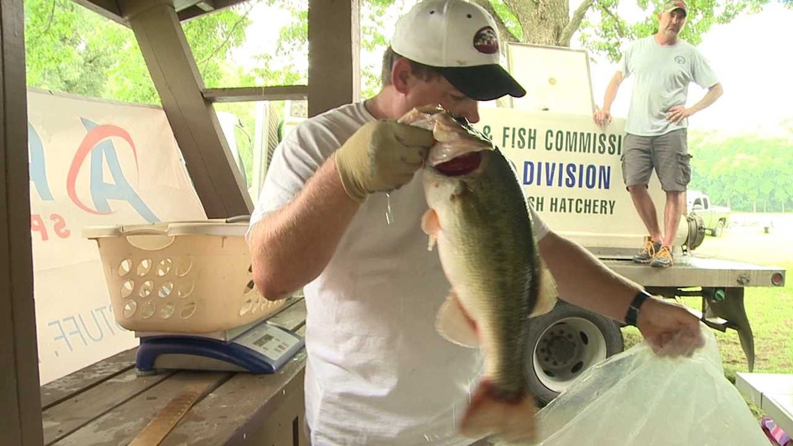 Amateur Fishing Tournament Big Bass Bonanza Pays Out Thousands To ...