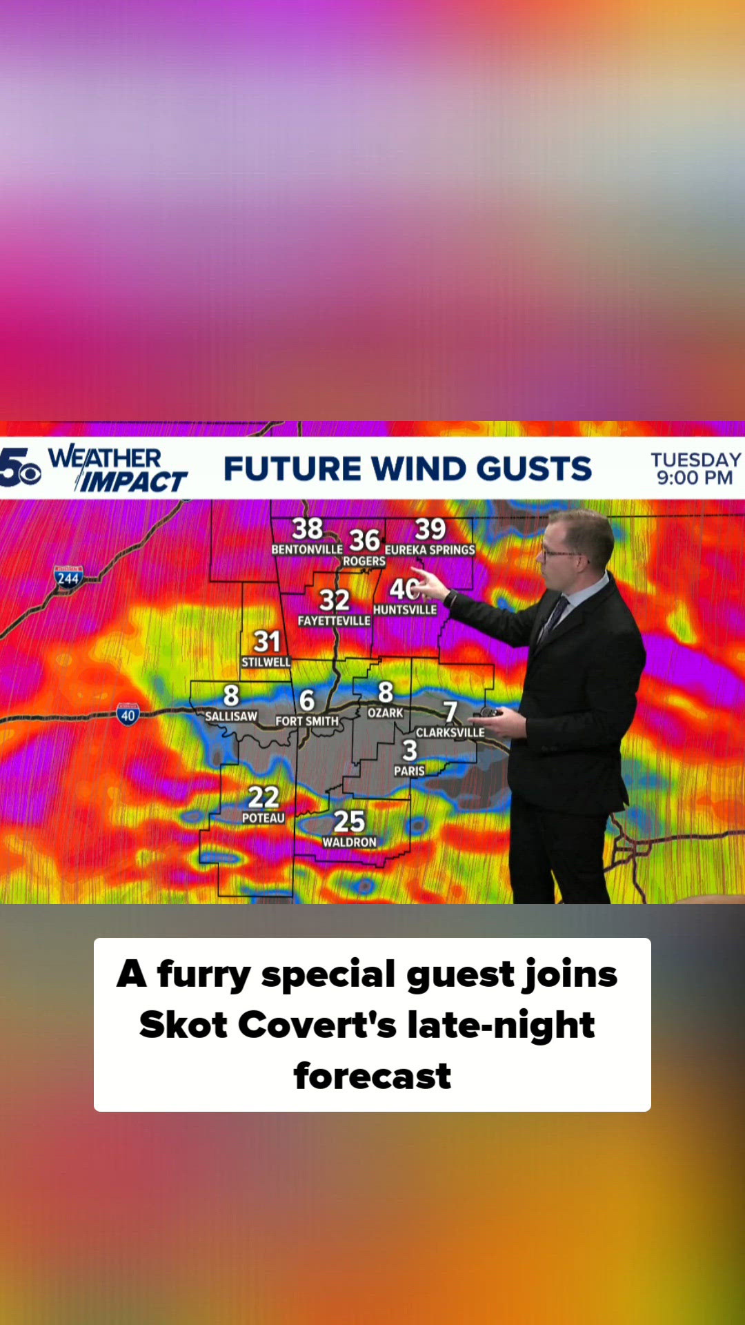 A furry special guest joins Skot Covert's late-night forecast ...
