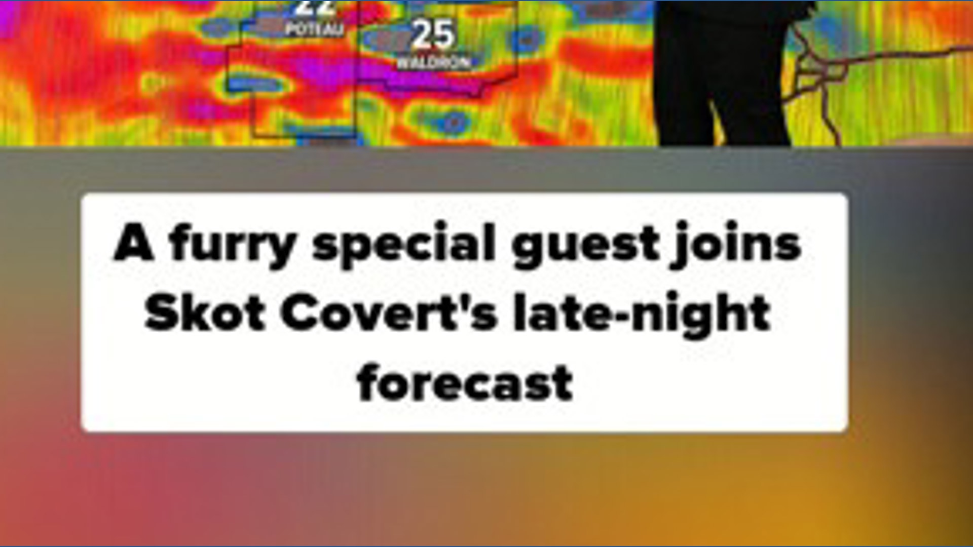 A furry special guest joins Skot Covert's late-night forecast ...