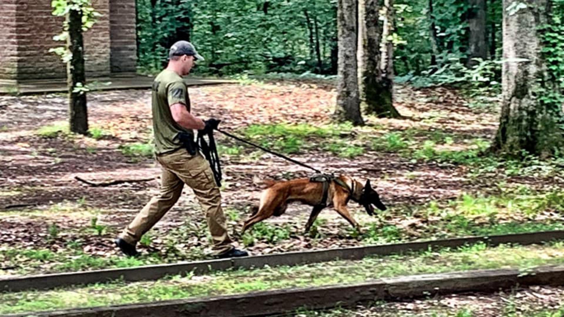 Barling Police mourn loss of K-9 Officer Alamo | 5newsonline.com