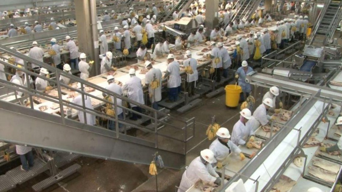 Tyson Foods workers have new option for college education | 5newsonline.com