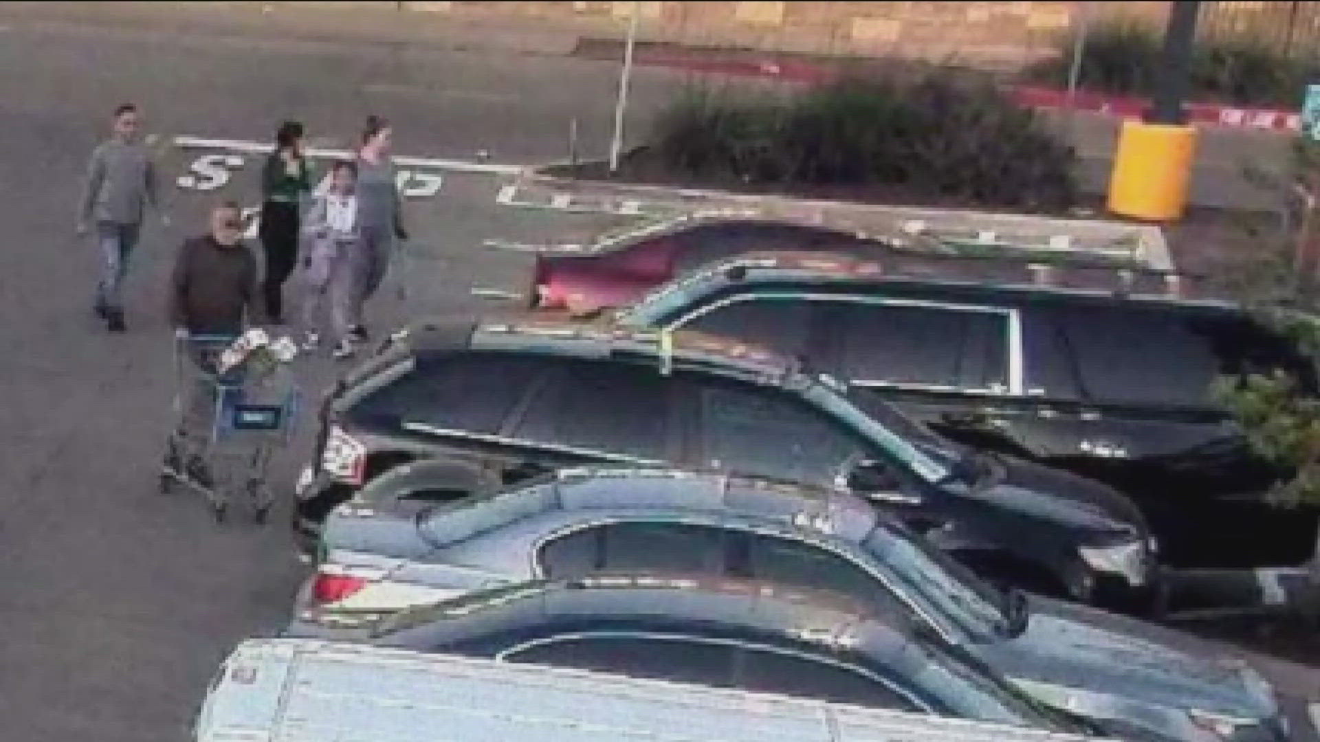 Family members plead guilty to helping suspect escape after deadly ...