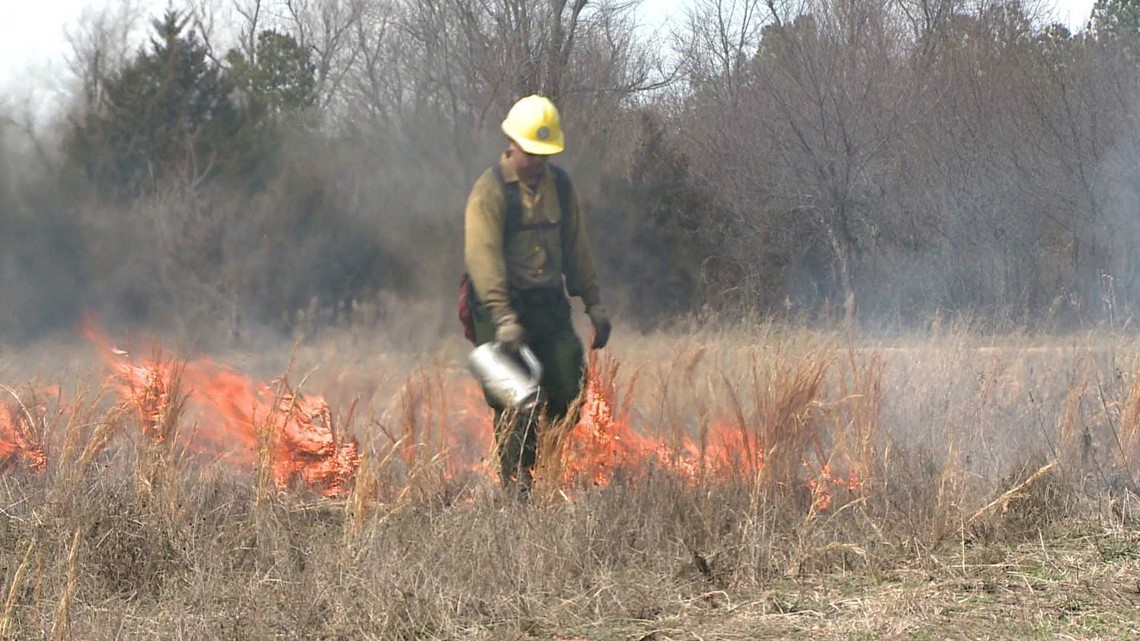 Controlled Burn to Restore Natural Vegetation | 5newsonline.com