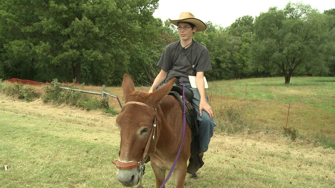 Pea Ridge Mule Jump Helps Autistic Teen | 5newsonline.com