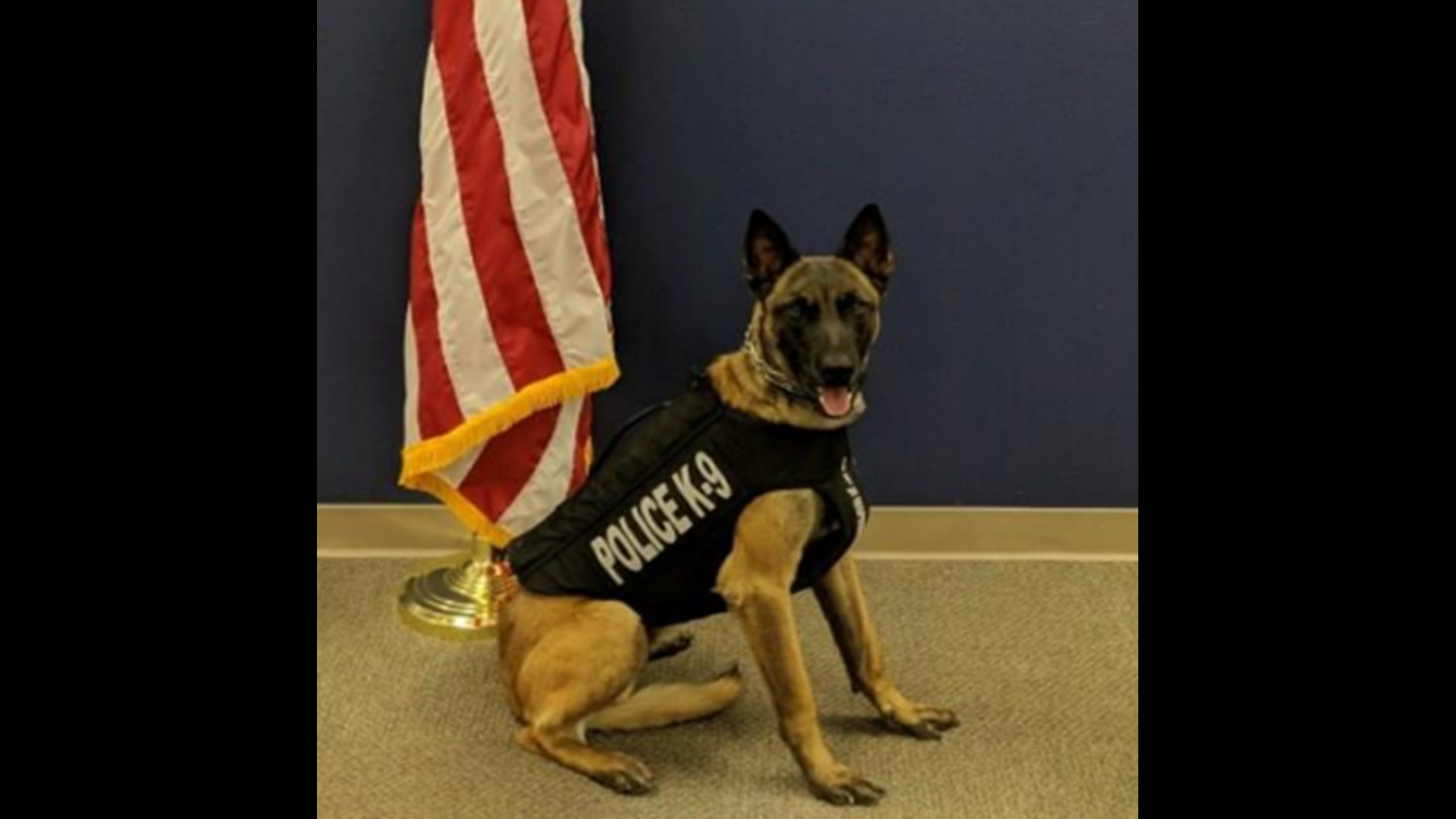 Siloam Springs K9 Officer Frenkie Receives Donation Of Body Armor