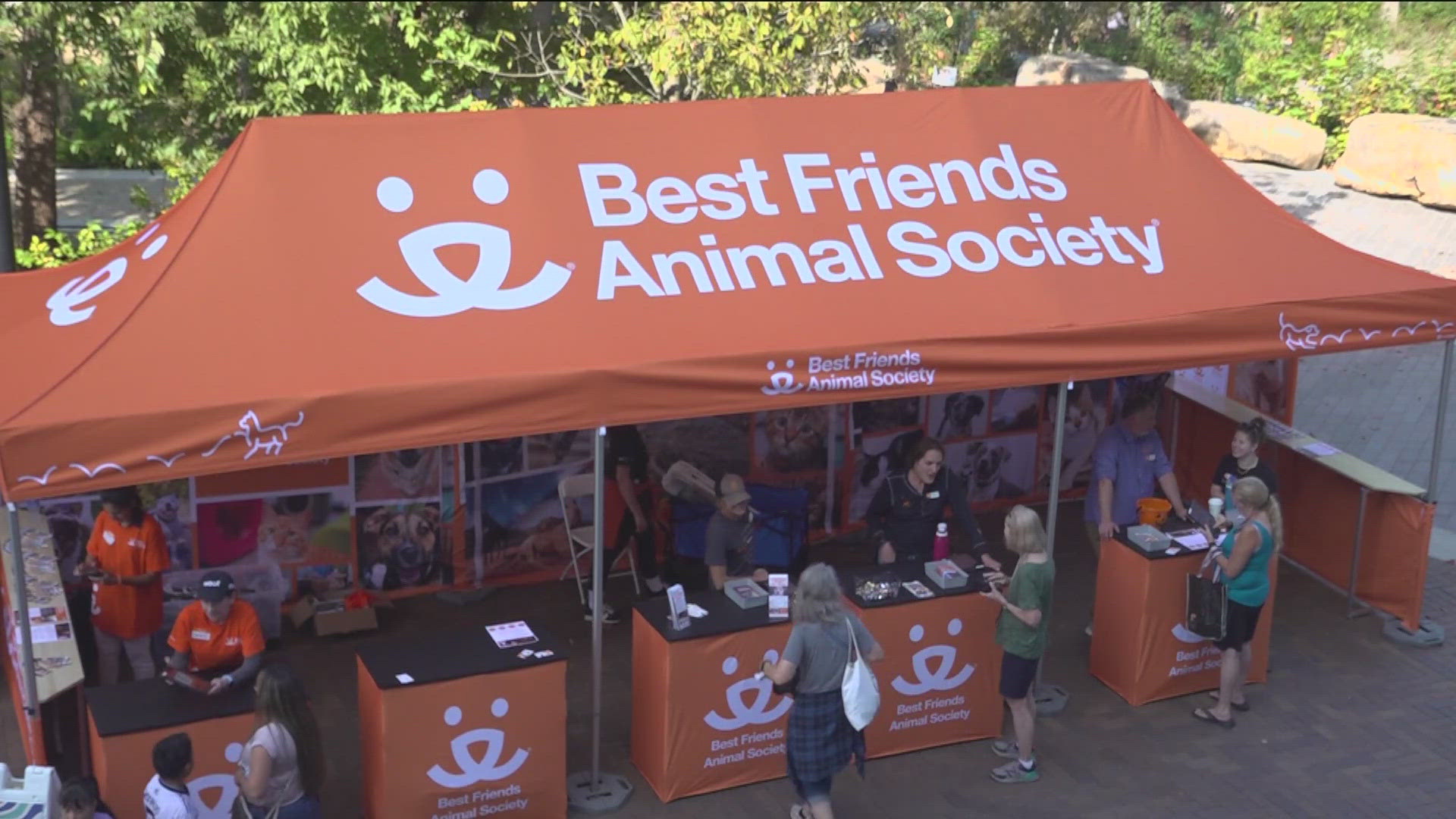 Over 230 pets find homes at Best Friends Super Adoption event ...