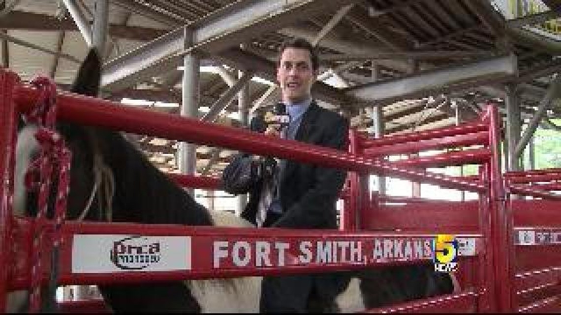 Behind The Scenes of A Rodeo Stock Contractor | 5newsonline.com