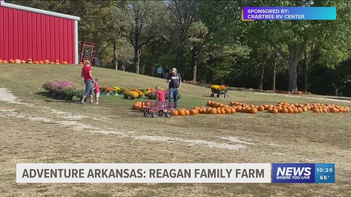 Adventure Arkansas: Reagan Family Farm | 5newsonline.com