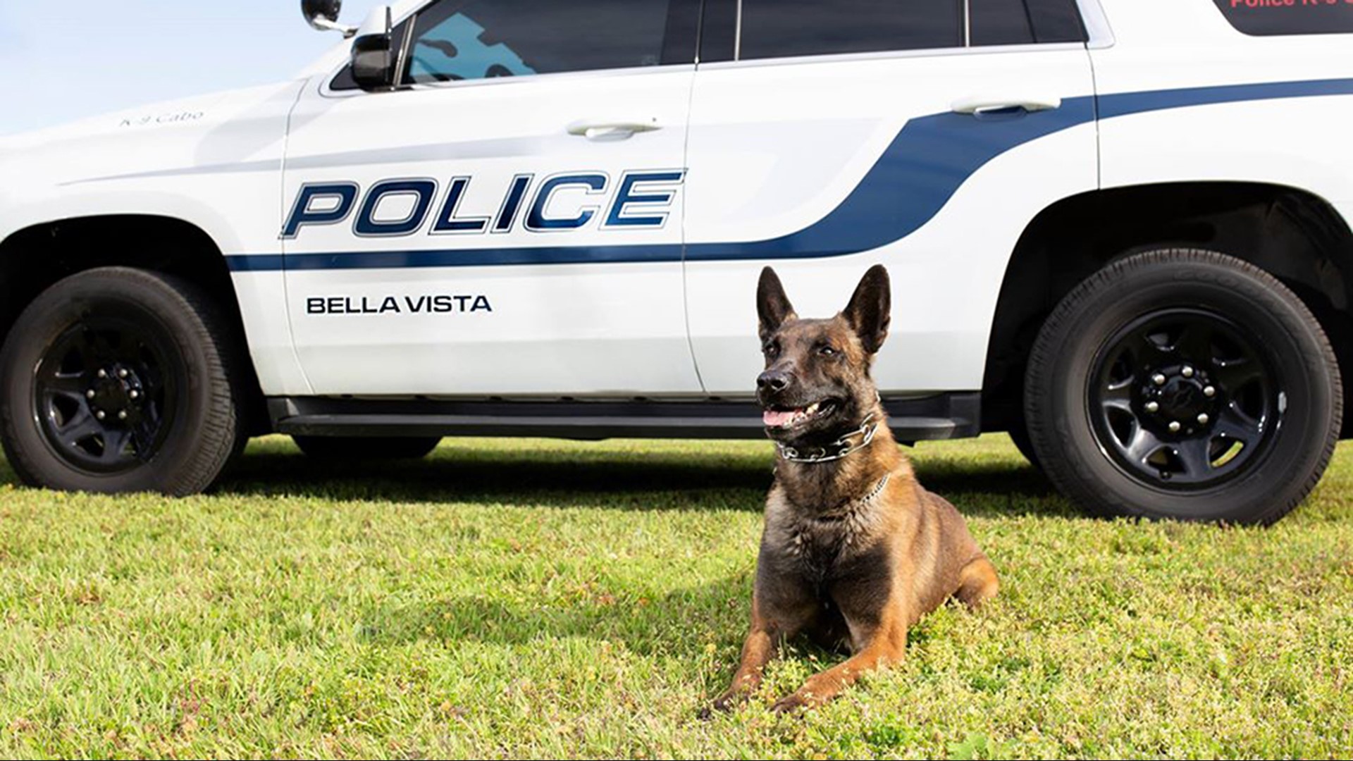 Bella Vista officer and K9 partner receive appreciation award ...