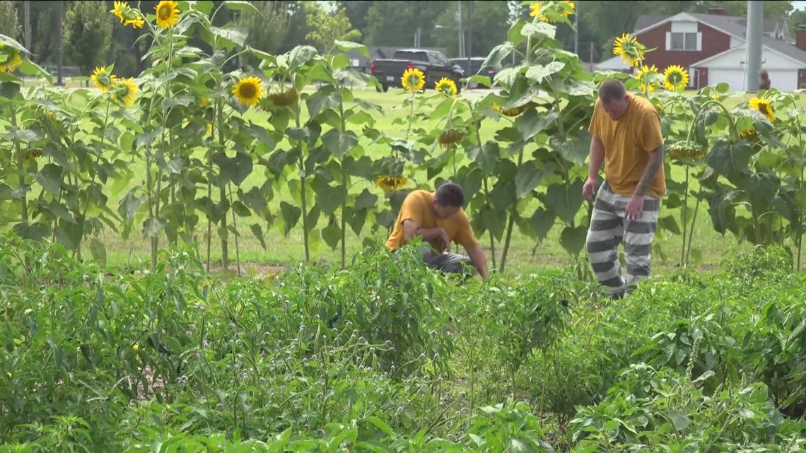 Benton County inmate garden program transforms live, aids community ...