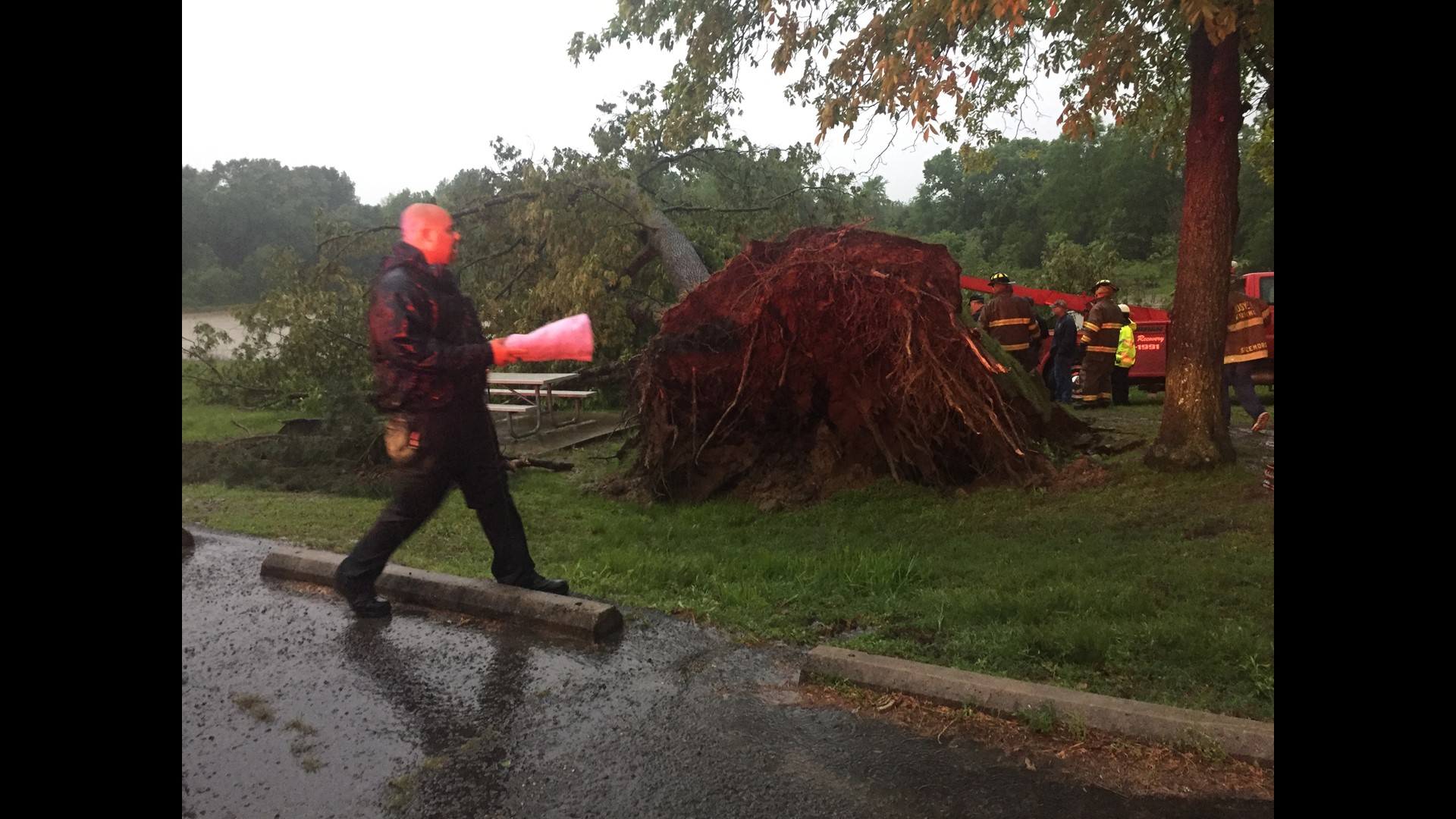 Two Rescued After Being Trapped Under Fallen Tree At Barling Park ...