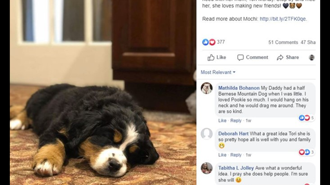 North Carolina Funeral Home Uses Puppy To Help Grieving Families ...