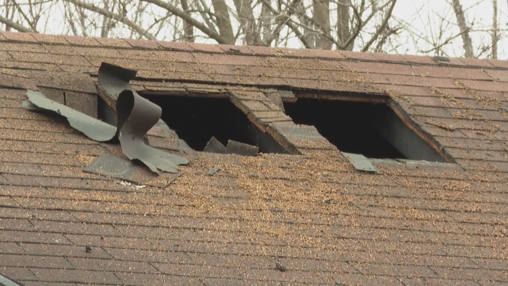 New details emerge in Kiefer Sutherland's arrest | 5newsonline.com