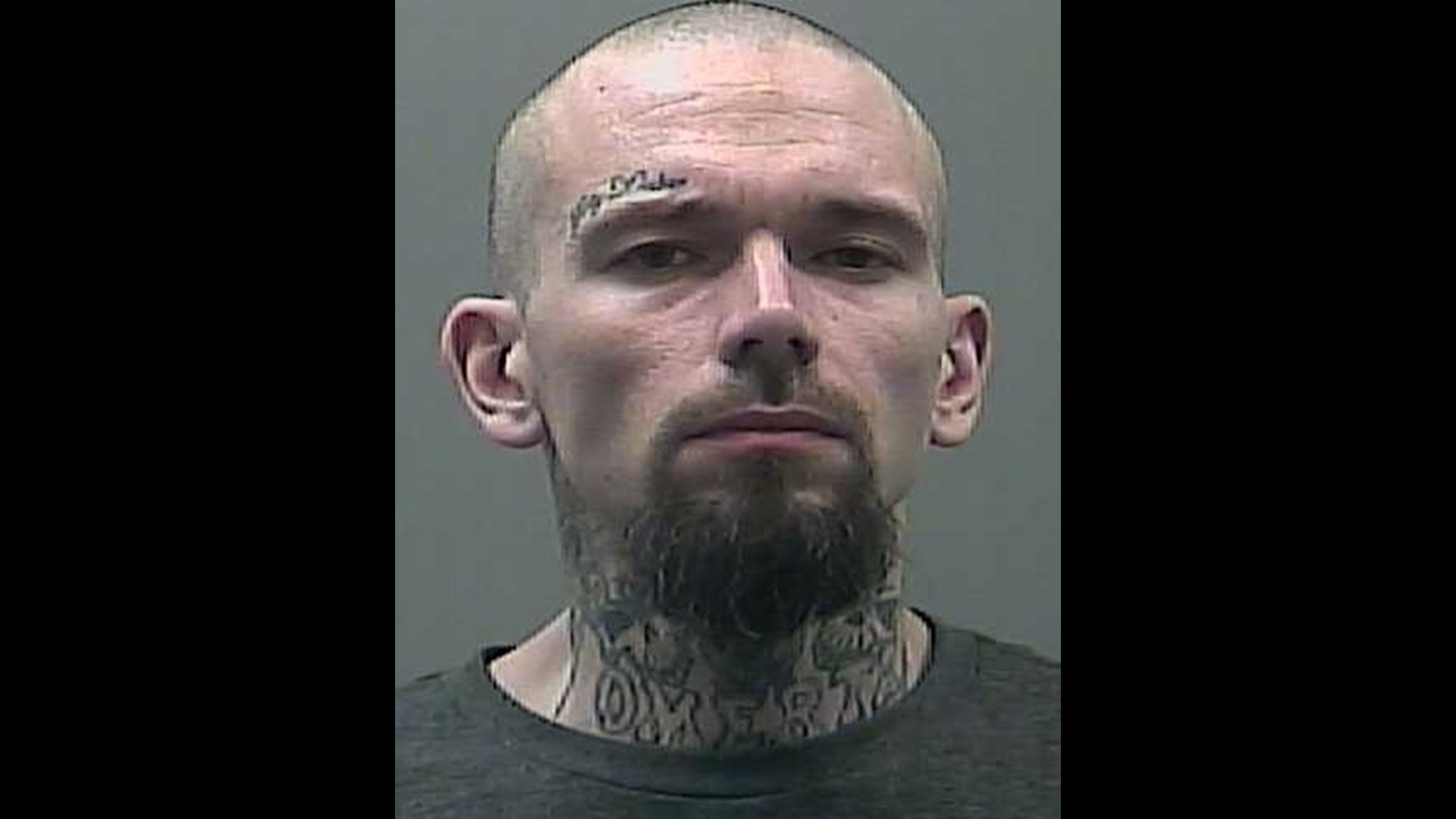 Deputies Say A Man Had A Meth Fueled Attack Squirrel