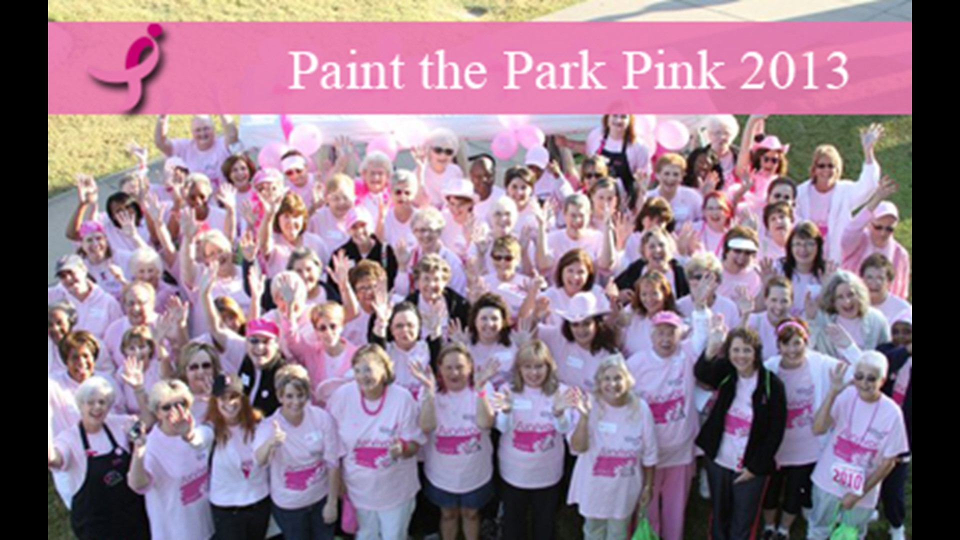 Paint the Park Pink 2013 | 5newsonline.com