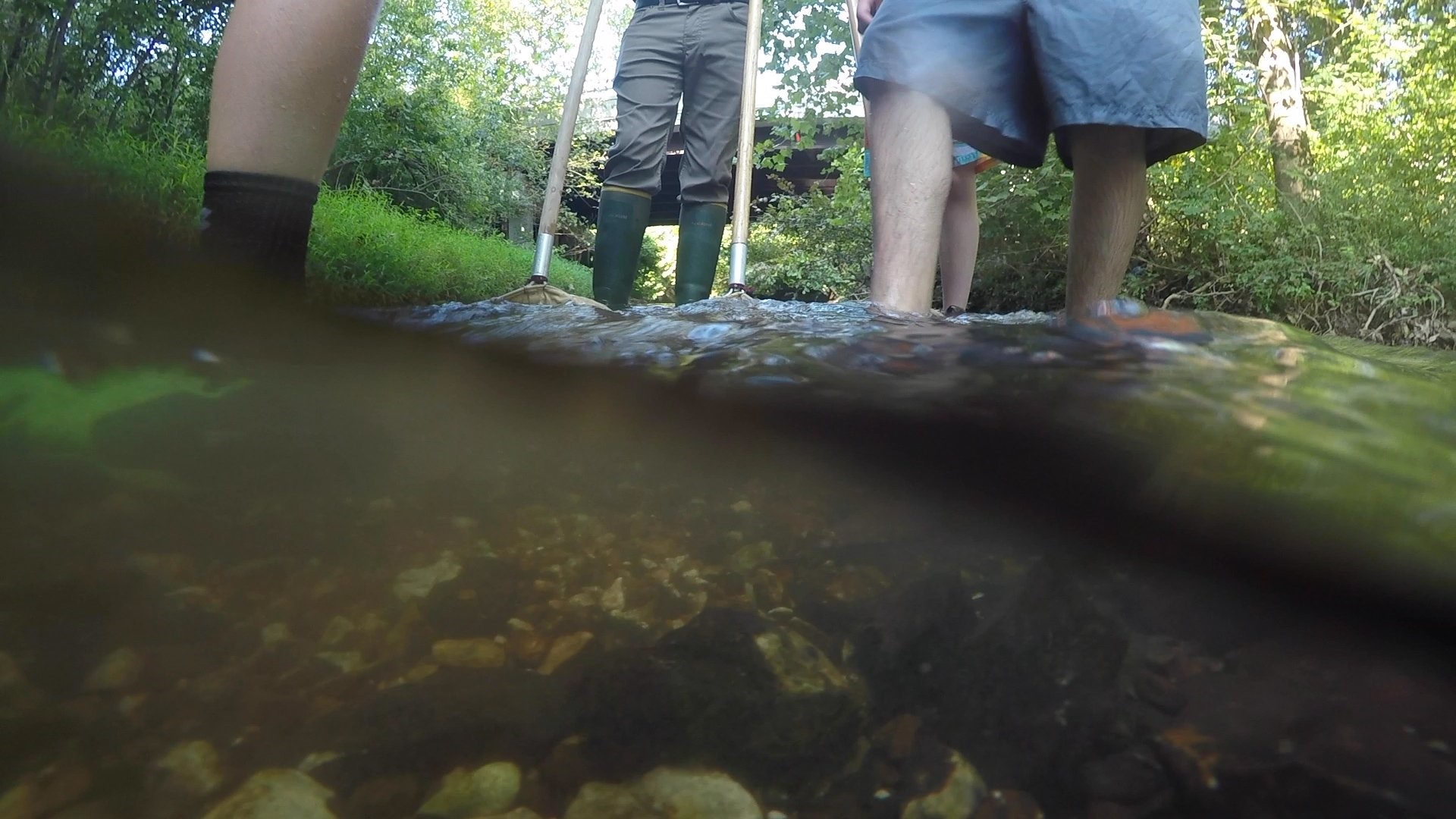 Science With Sabrina: Water Pollution With Springdale Schools ...